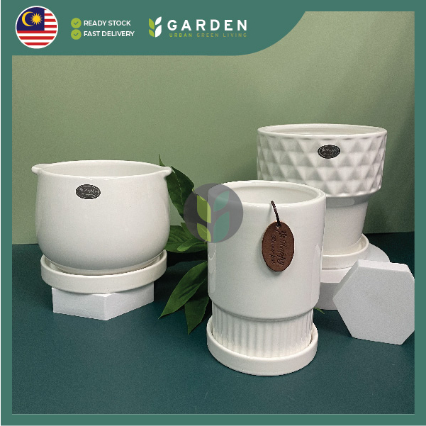 Ceramic Pot Plant + Saucer Plate White Color Ceramic Flower Pot Indoor ...