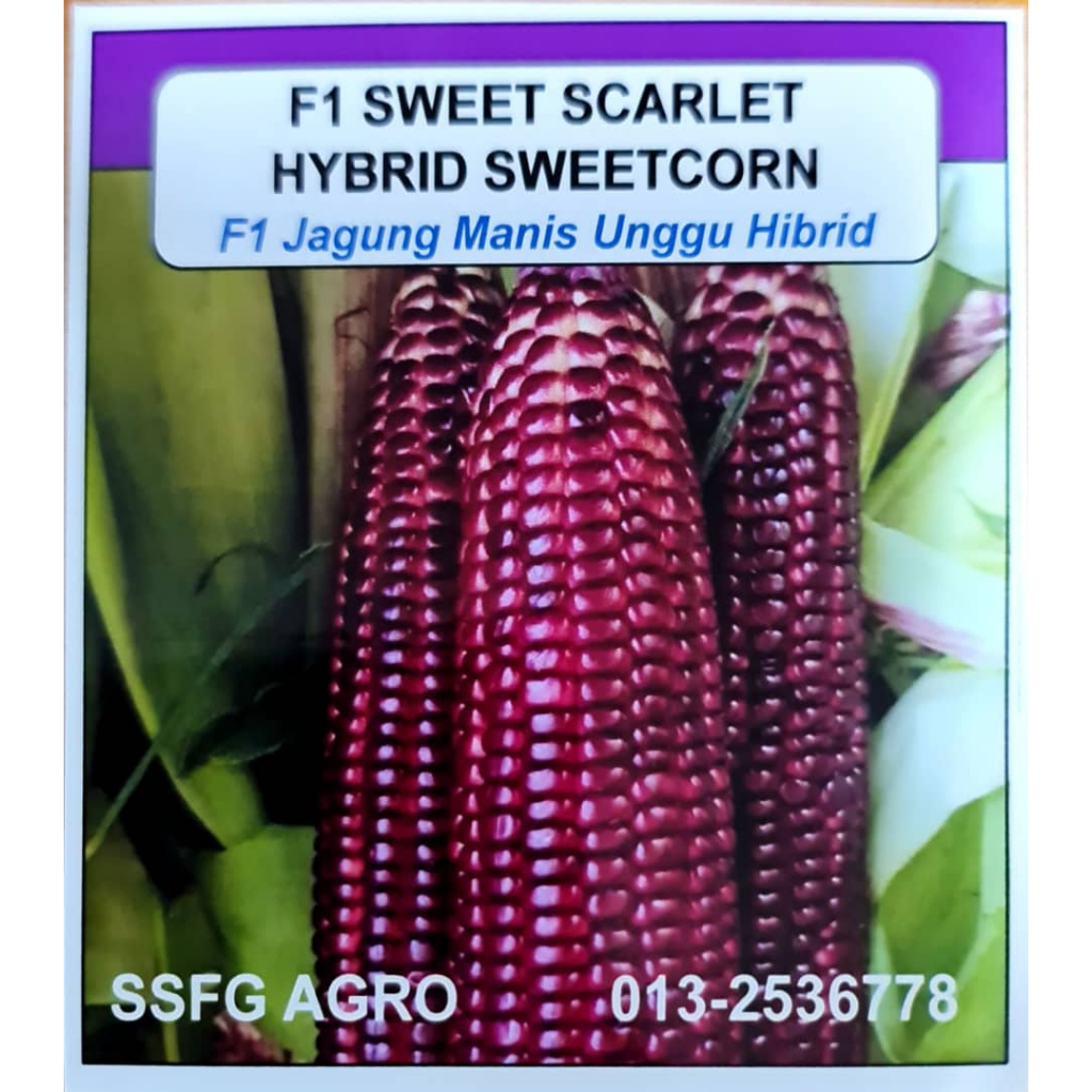 Biji Benih F1 Jagung Manis Unggu F1 Hybrid | Shopee Malaysia