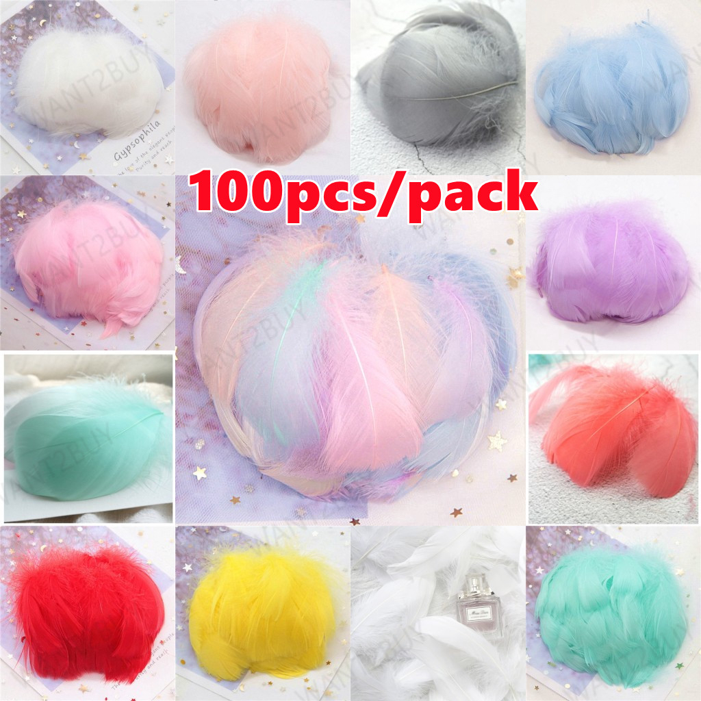 100pcs Goose Feathers 6-12cm Small Floating Colourful Swan Feather ...