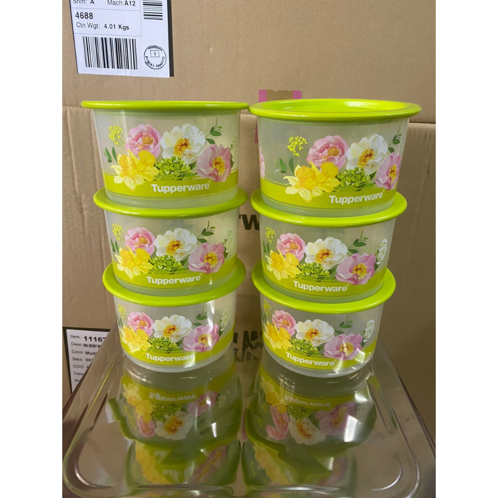 Raya Promotion 2023 Tupperware One Touch 6 pcs in 1 set ( 600ml) | Shopee Malaysia