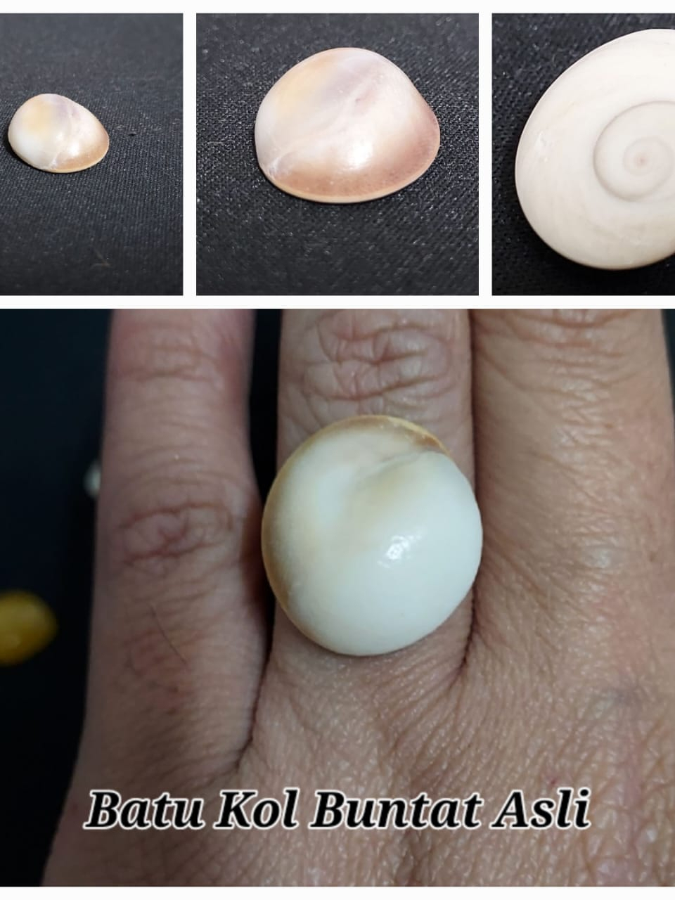 𝐁𝐚𝐭𝐮 𝐊𝐨𝐥 𝐁𝐮𝐧𝐭𝐚𝐭 𝐀𝐬𝐥𝐢 | Shopee Malaysia