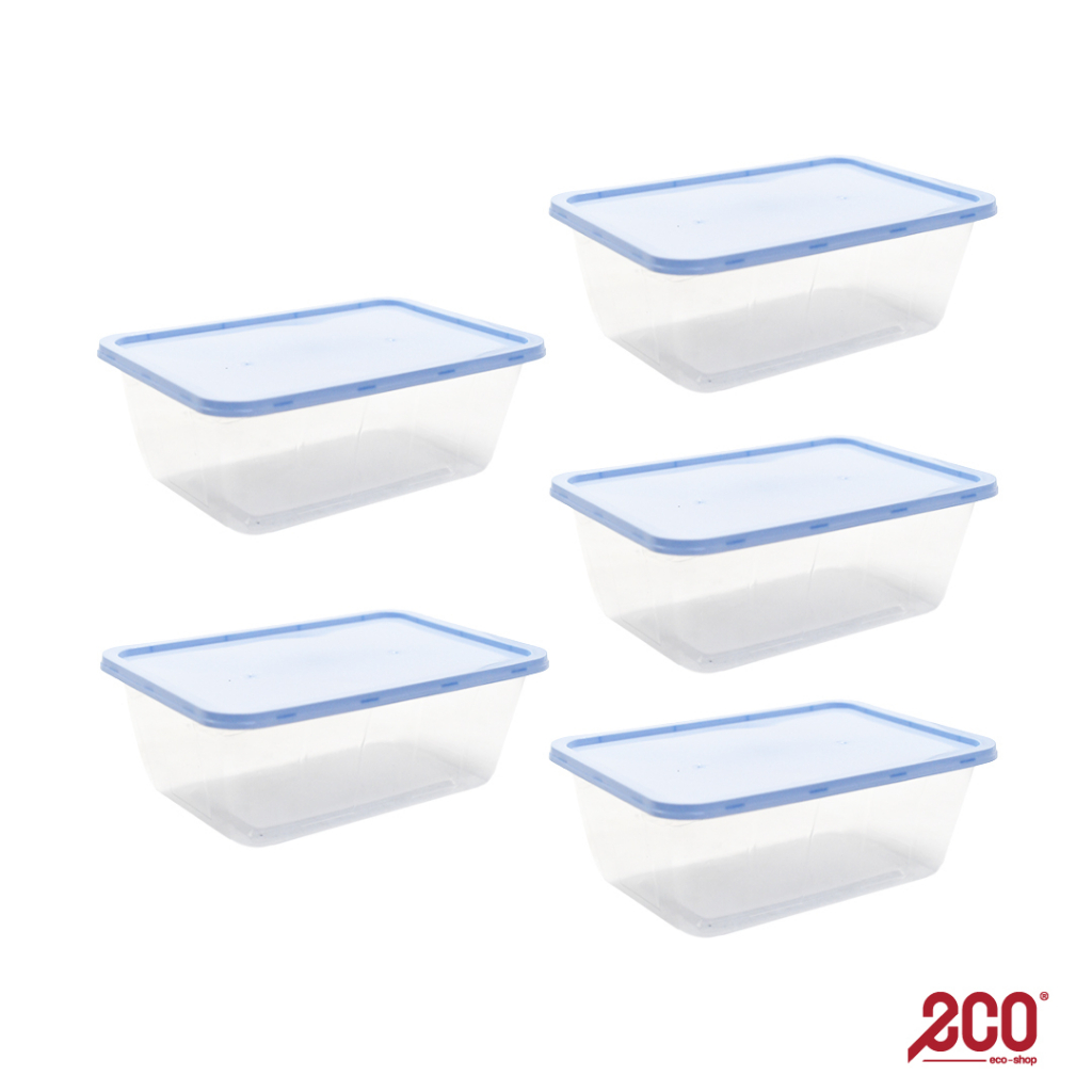 Casa Disposable Rectangular Container (5 pcs/pack) AE-L012-T03-01 - AE ...