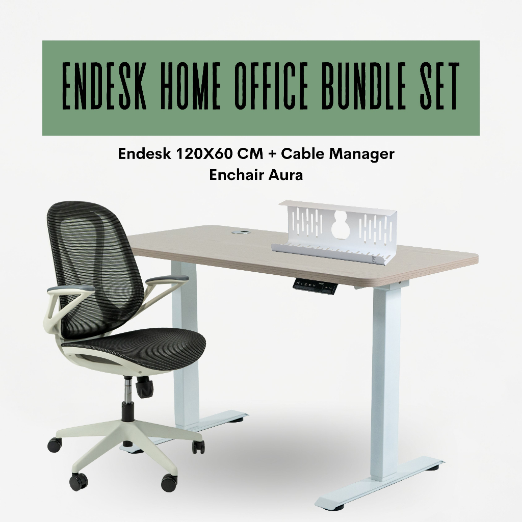 Endesk Dual Motor Ergonomic Sit Stand/Height Adjustable Desk Office ...