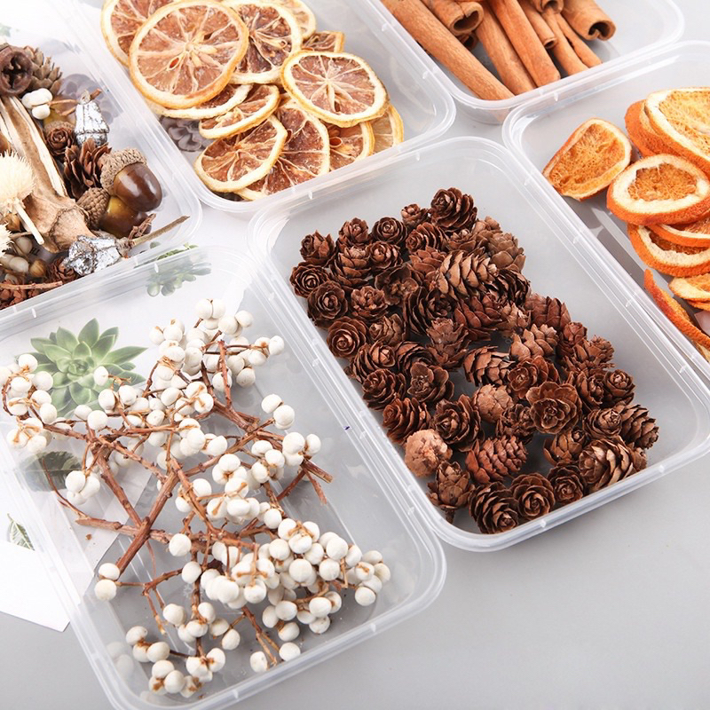 Dried Fruit Dried Flower Box Natural Flower Pinecone Rose Buds Sapium ...