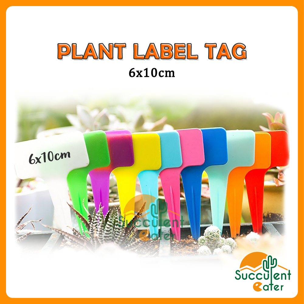 Plant Label Tag 6x10cm Garden Plant Flower Label Tag Nursery Thick T ...