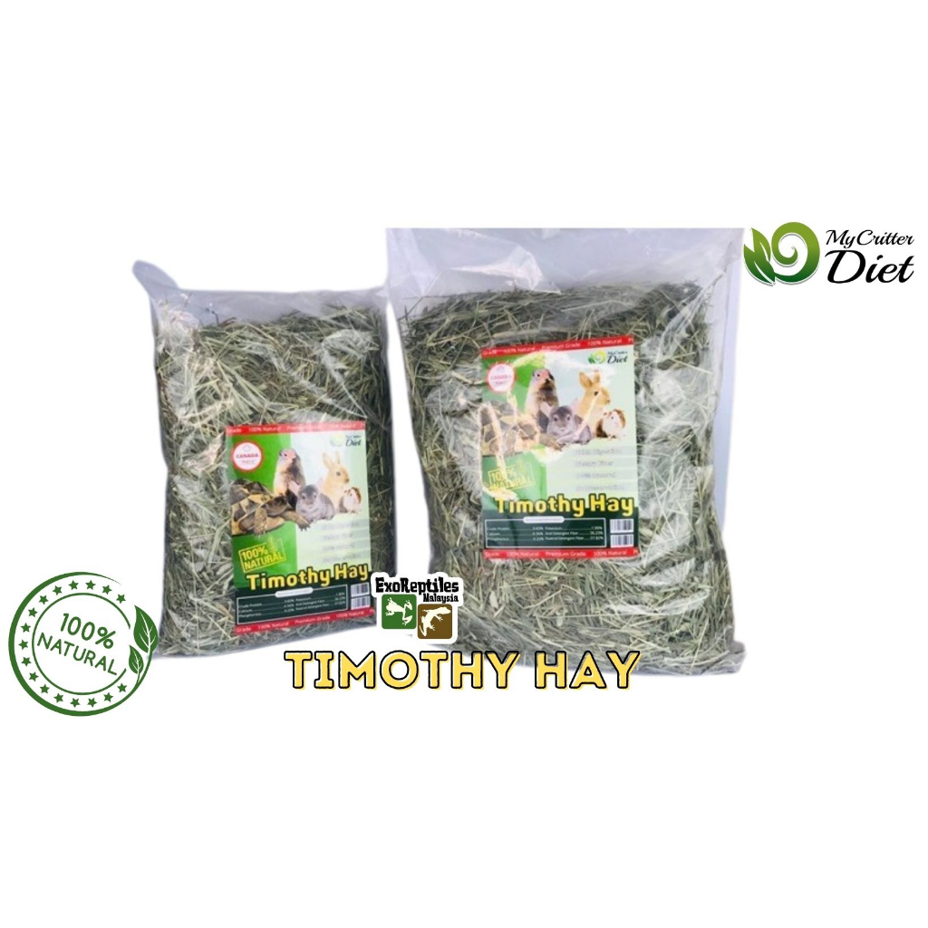 PREMIUM TIMOTHY HAY FOR TORTOISES, RABBITS, GUINEA PIGS | Shopee Malaysia