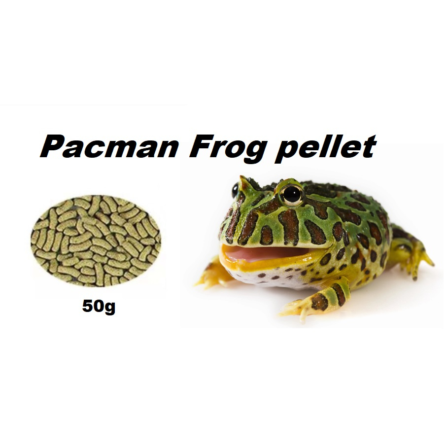 Pacman Frog pellet 50g | Shopee Malaysia