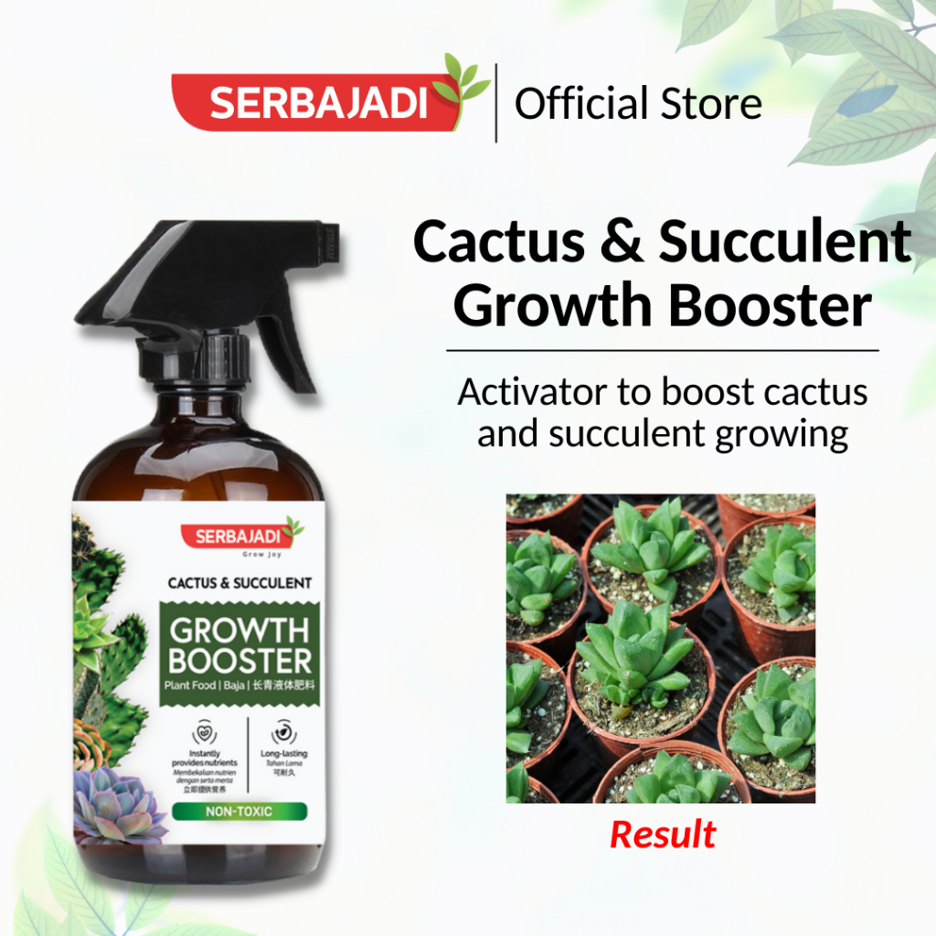 Serbajadi Cactus & Succulent Growth Booster/ Ready-to-use Spray/ Baja ...
