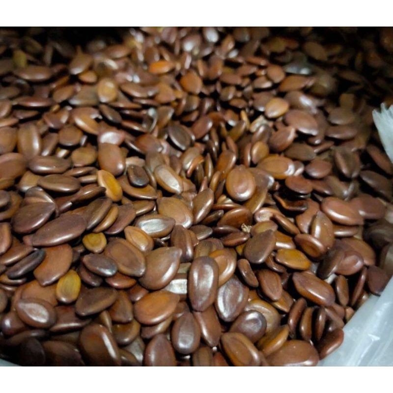 Biji Petai Belalang Kering / Dried River Tamarind / 銀合歡 (Buy 5 Free 1 ...