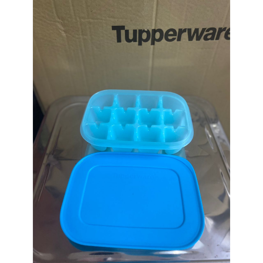 Raya Promotion Tupperware Chill Freeze Ice Cubes Tray (160ml) (1 pcs) | Shopee Malaysia