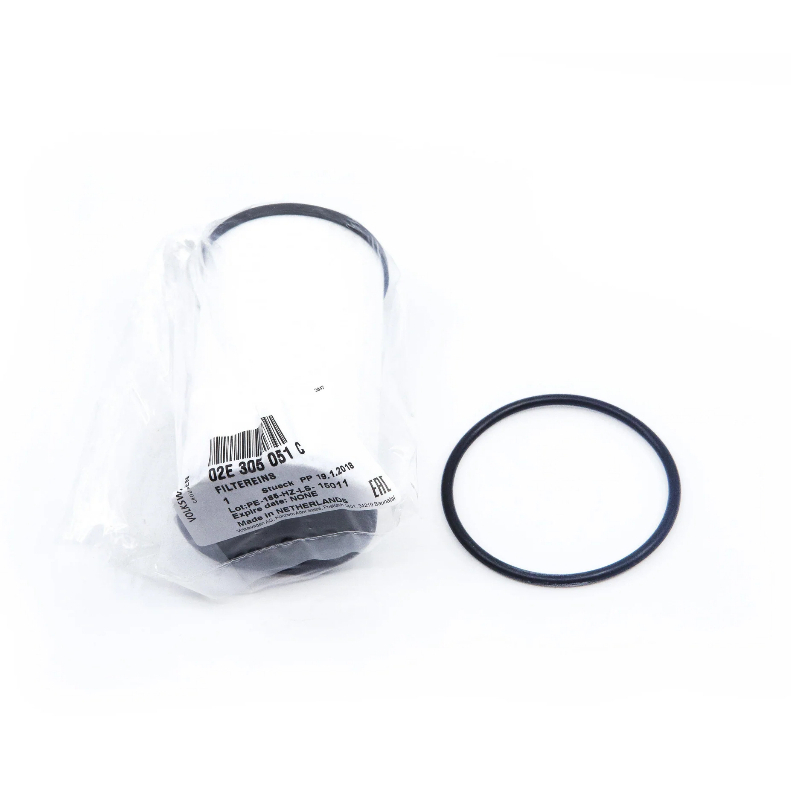 DSG TRANSMISSION OIL FILTER DQ250 - AUDI A3 TT - VW BEETLE EOS GOLF GTI ...