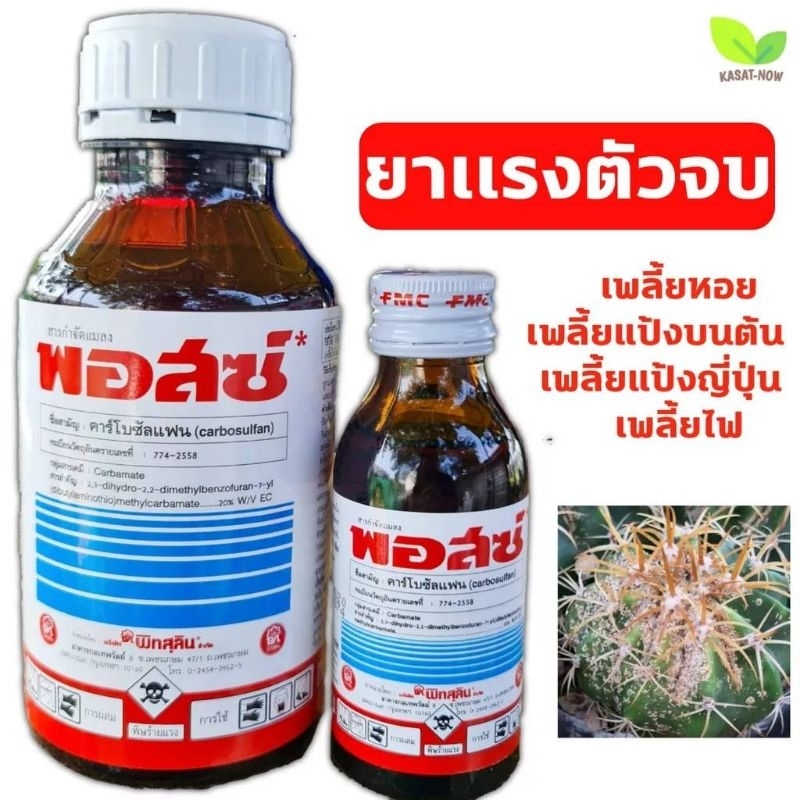 RACUN SERANGGA ANTI INSECT PLANT FMC SIAM (THAILAND) | Shopee Malaysia