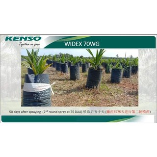 WIDEX KENSO 250g Tiafenacil 70% Free Silic Surfactant 250ml | Shopee ...