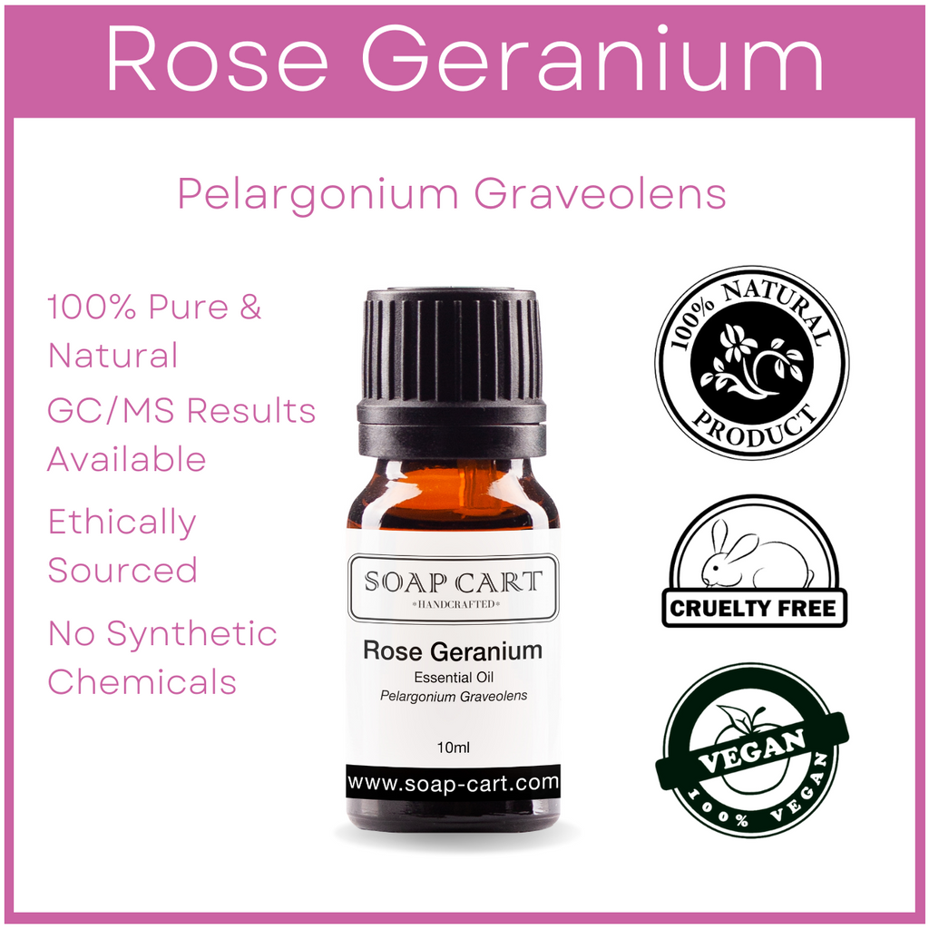 Rose Geranium Essential Oil, Pure, Natural and Undiluted (10ml, 50ml ...