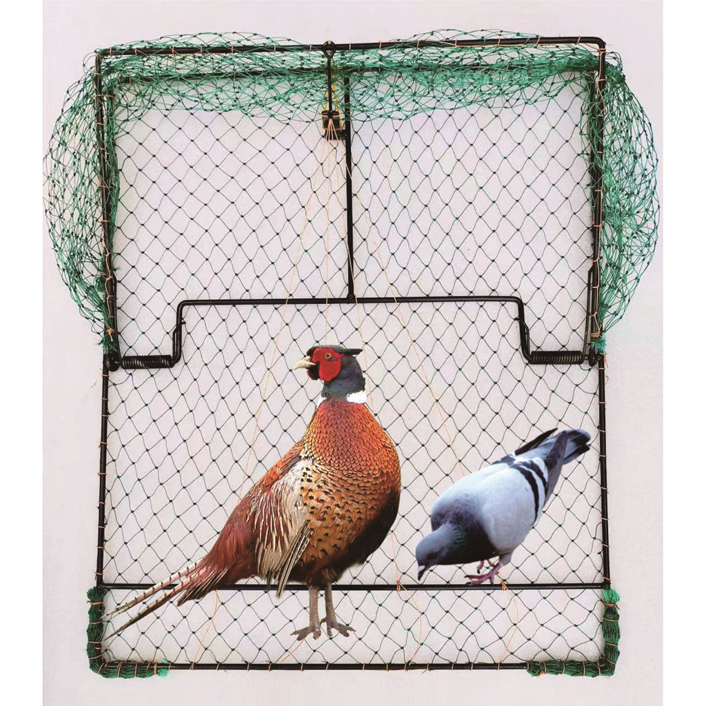 Chicken Traps, Bird Traps, Trapping Hunting Quail Cage Sparrow Spring ...