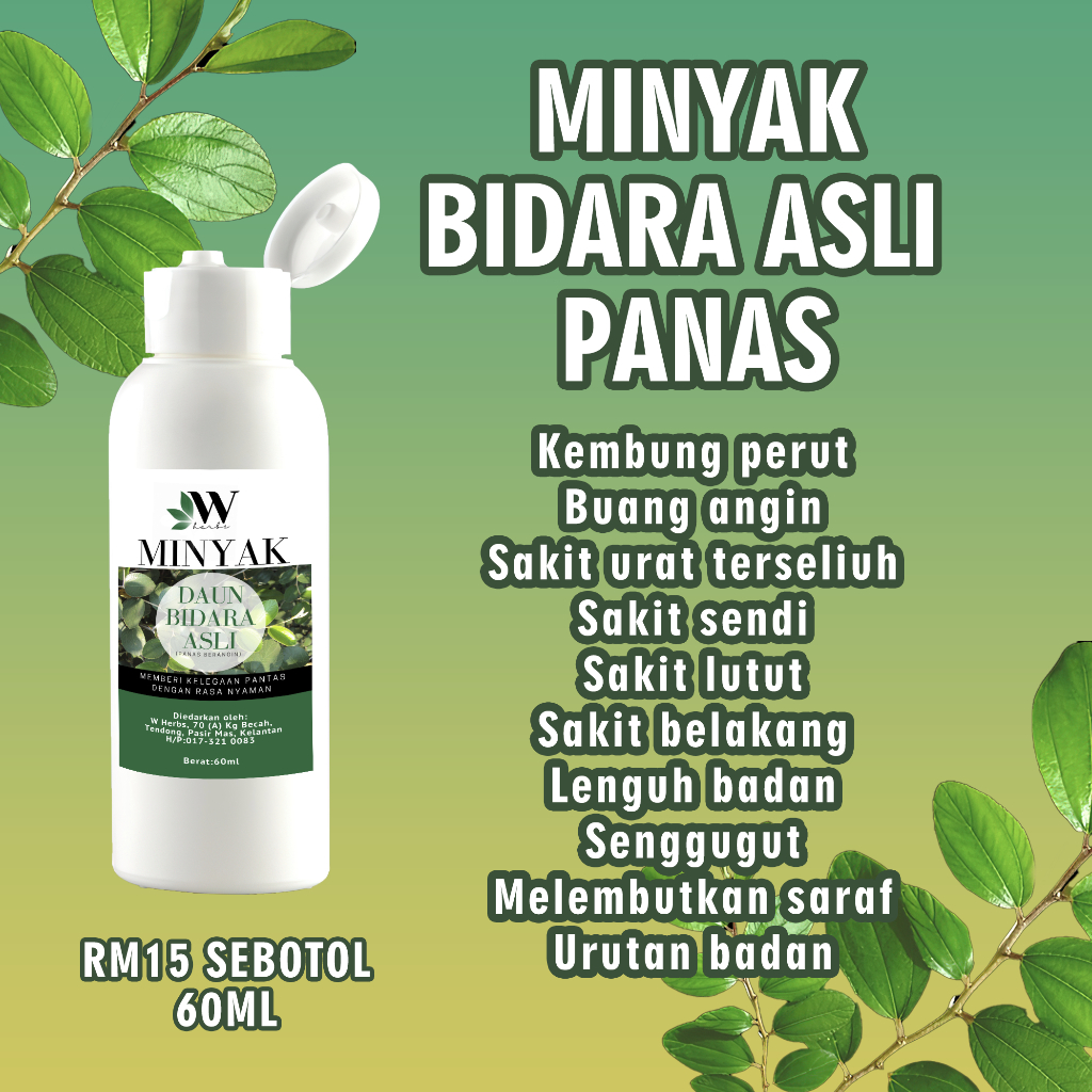 Minyak Bidara Panas Massage Oil Minyak Panas Angin Daun Bidara | Shopee ...