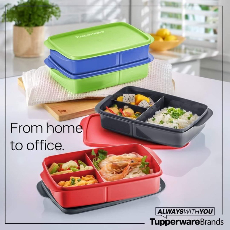 Tupperware Bento Lollitup lunchbox 550ml/ Jollitup lunchbox 1L - 1 Pcs ...