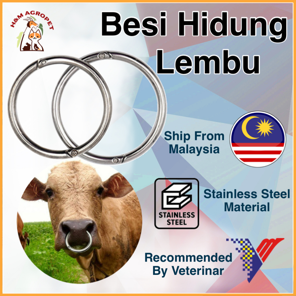 Stainless Steel Bull Cow Cattle Nose Ring Cincin Tali Subang Besi ...