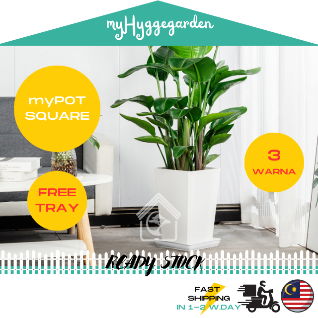 [FREE TRAY] myPOT Square Thick Flower Pot Indoor Outdoor Office Deco ...