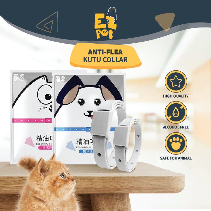 EZPET🐱 Anti Flea Collar Pet Flea Collar Rantai Kucing Kutu Ubat Kutu ...