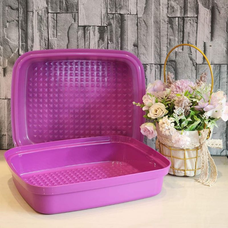 SEASON SERVE TUPPERWARE BRANDS (1)1.9L | Shopee Malaysia