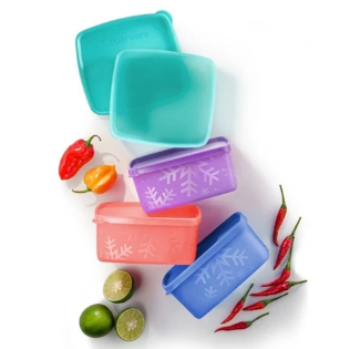 Tupperware Snowflake Square Round Set/So Fresh Set | Shopee Malaysia