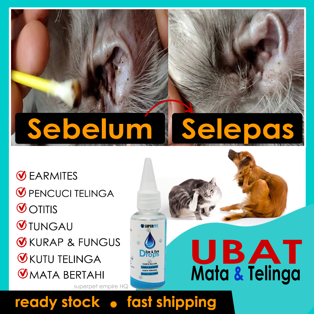 Ubat Mata Kucing Ubat Titis Anak Kucing Sakit Mata Pencuci Telinga ...