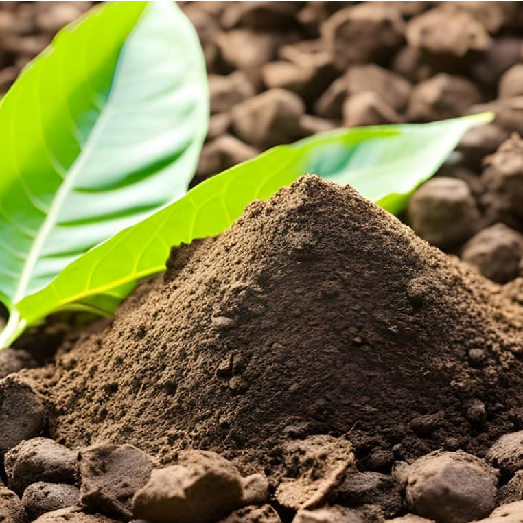 Vermicompost Baja Cacing Organik Vermicast Compost 500g | Shopee Malaysia