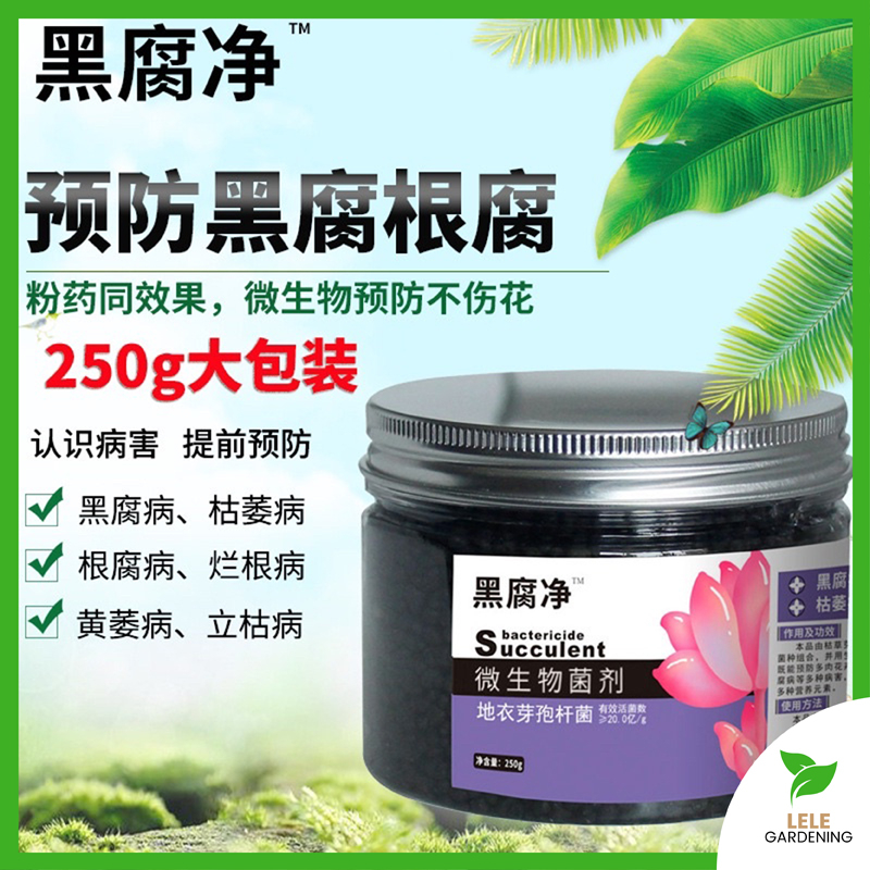 LELE GARDENING BloomsMY Fungicide Bactericide Succulent Black Rot ...