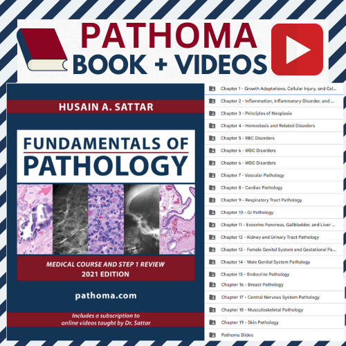 Pathoma 2021 (FULL VIDEOS + EBOOK) | USMLE Step 1 Full 19 Chapters for USMLE PLAB MBBS | Shopee ...