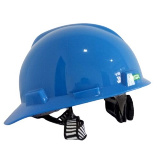 MSA Helmet V-Gard Safety Helmet With Fas Trac Suspension and Zebra Chin ...