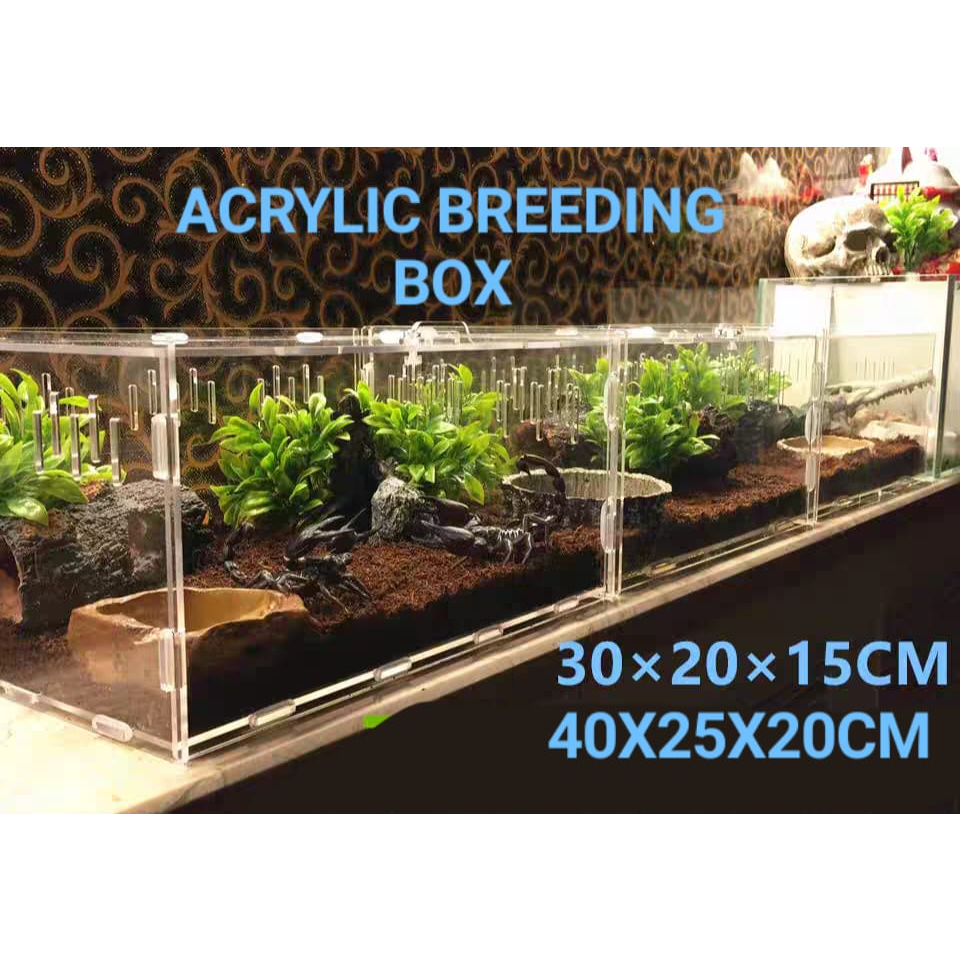 "Reptile Acrylic Box Breeding Habitat Snake Spider Lizard Scorpion ...
