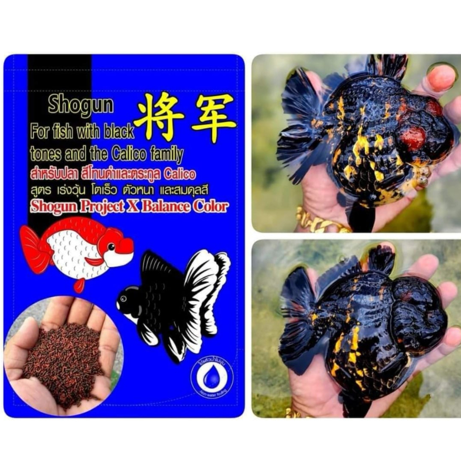 (Ready Stock) Shogun Blue Project X Balance Color Pellets Fish Food for ...