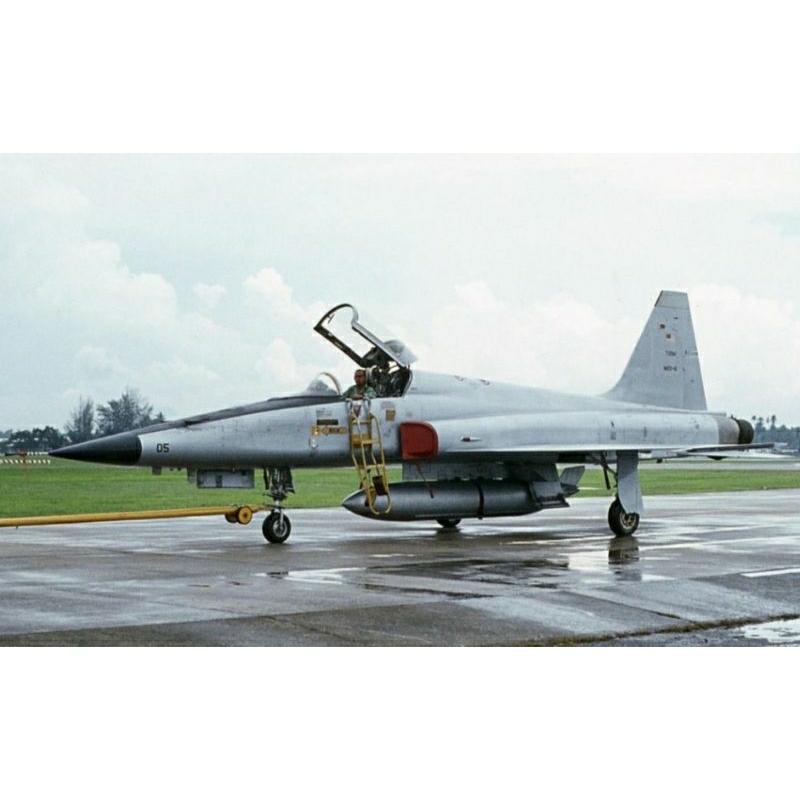 F-5E TIGER FIGHTER JET HOBBY BOSS 1/72 TUDM RMAF model Air Force ...
