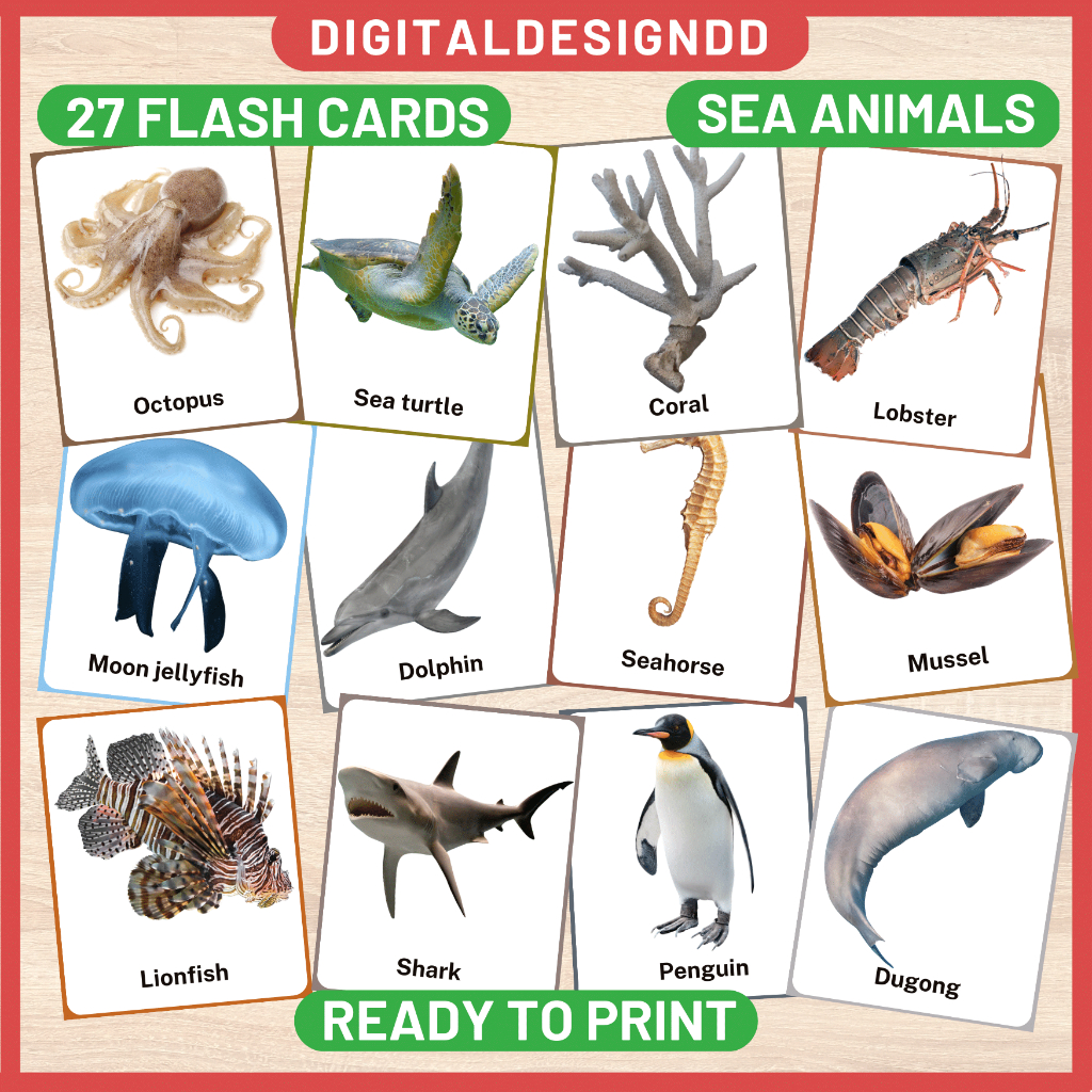 Sea Animal Digital pdf Flash Cards for baby kids toddler preschool Kad ...