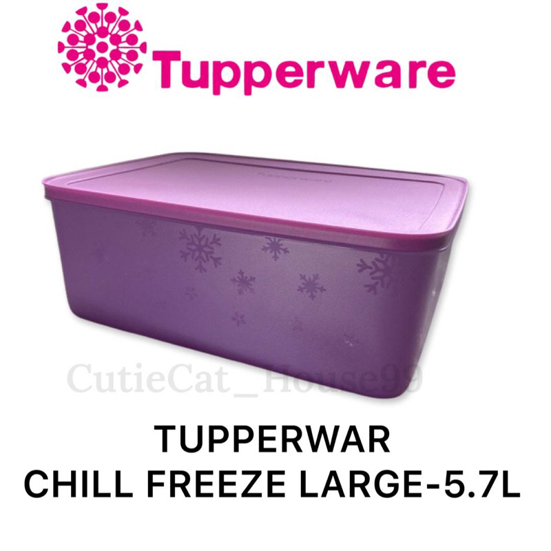 TUPPERWARE CHILL FREEZE LARGE-5.7L (1pcs ) | Shopee Malaysia