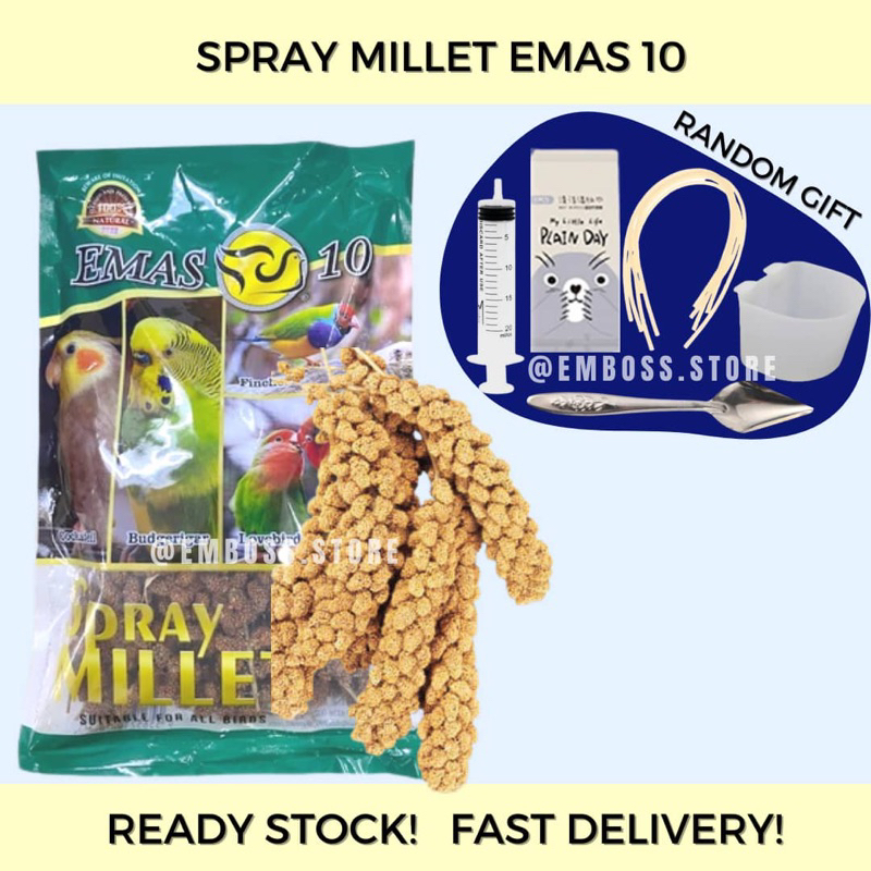 🔥SPRAY MILLET EMAS 10 200g 100% ORIGINAL🔥 White Spray Millet Gaiety ...