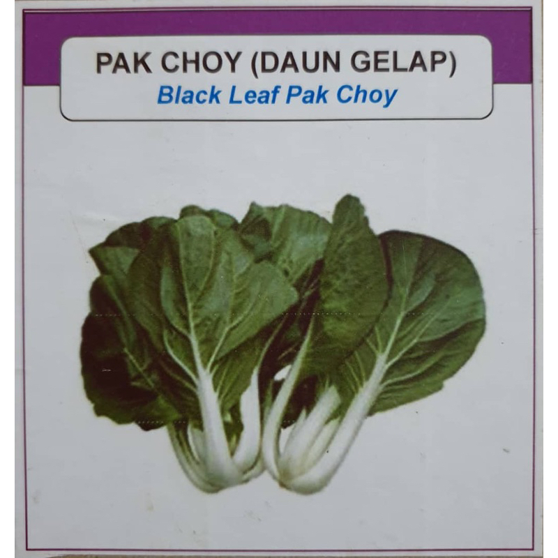 Benih Pak Choy daun gelap (5gram) | Shopee Malaysia