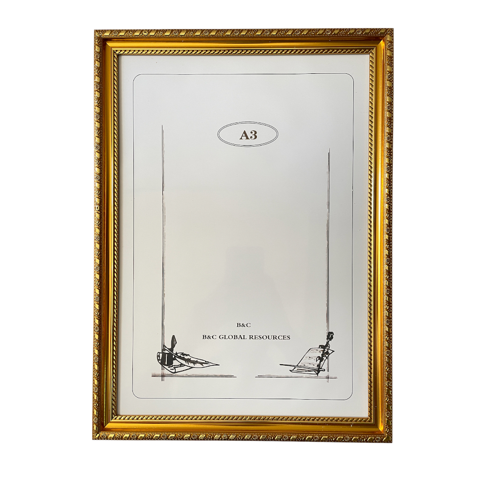 Photo Frame Size 4R / 5R / 6R / 8R / A4 / 11R / A3 - Gold Color(1pc ...