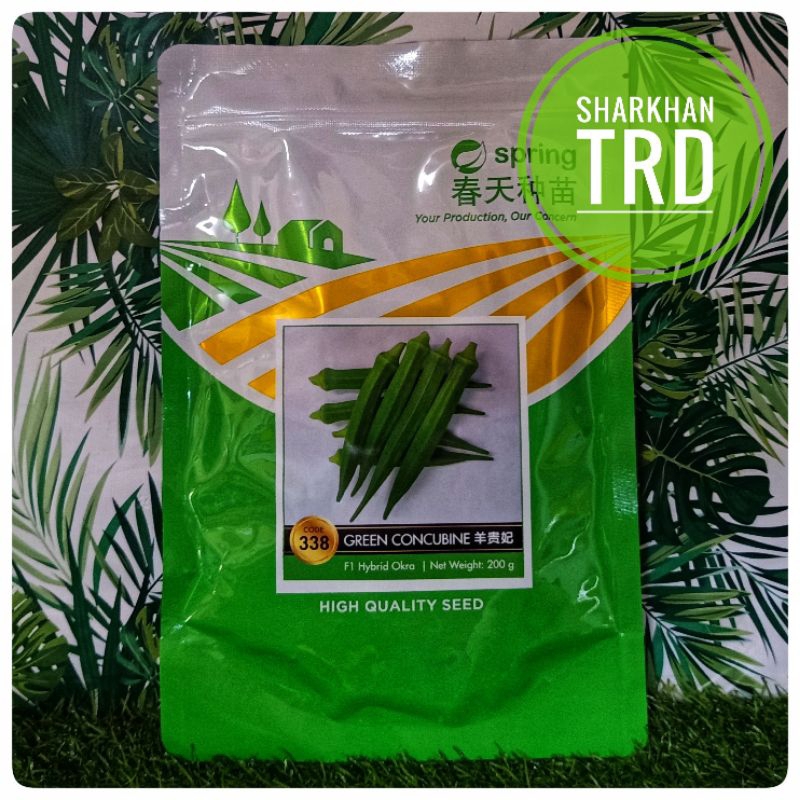 Paket 200g GREEN CONCUBINE Cap Spring Biji Benih Kacang Bendi F1 Hybrid ...