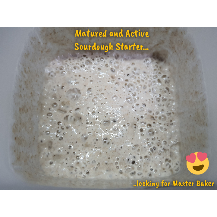 Sourdough Starter Levain (30g). Matured starter that makes active ...