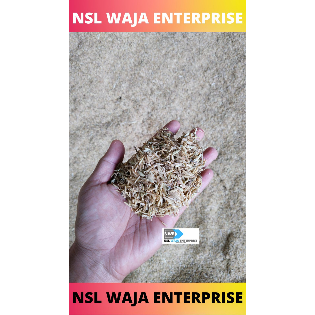 Sekam Padi Mentah 1 Guni 55 Liter Rice Husk Gred A Kualiti Baik Kering ...