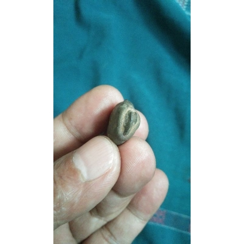 Buntat Naga @ Batu didalam Batu | Shopee Malaysia