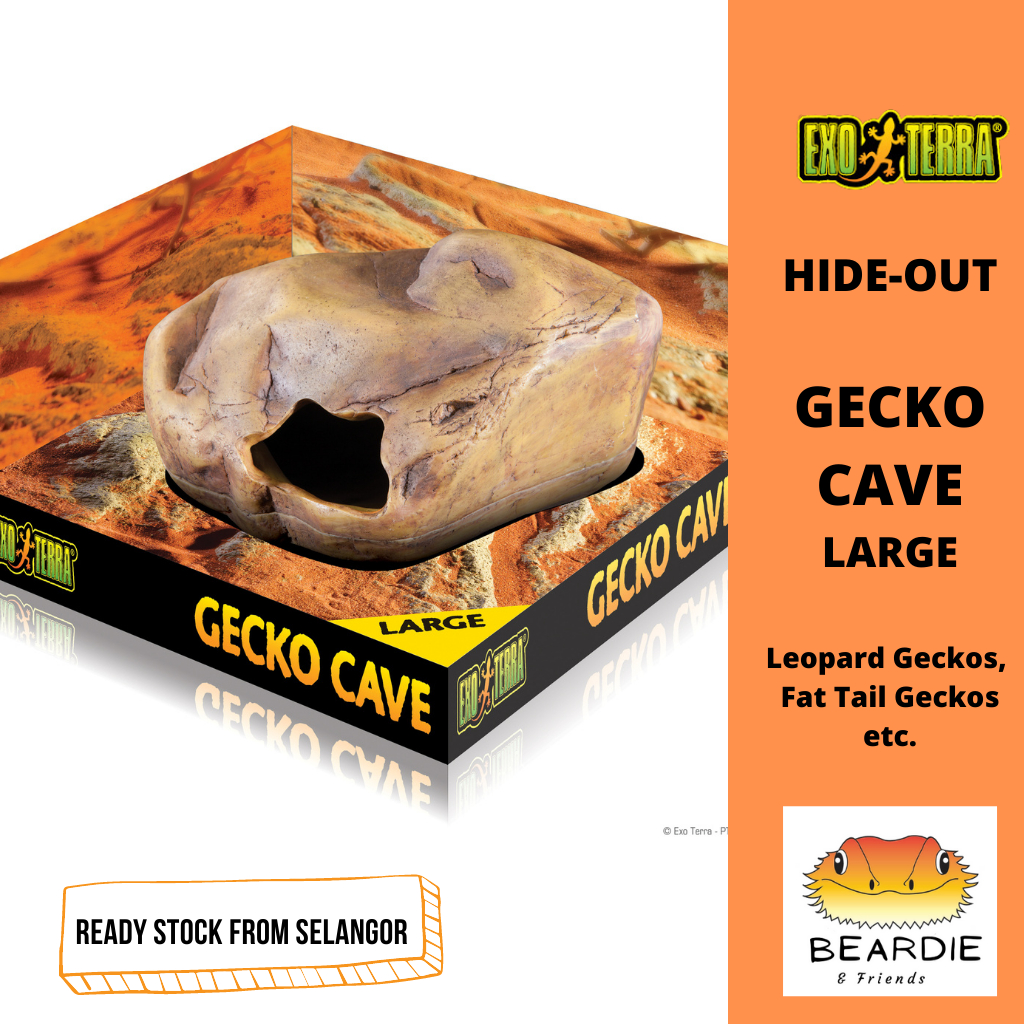 EXO TERRA GECKO CAVE HIDE HIDE-OUT LARGE (PT2866) | Shopee Malaysia