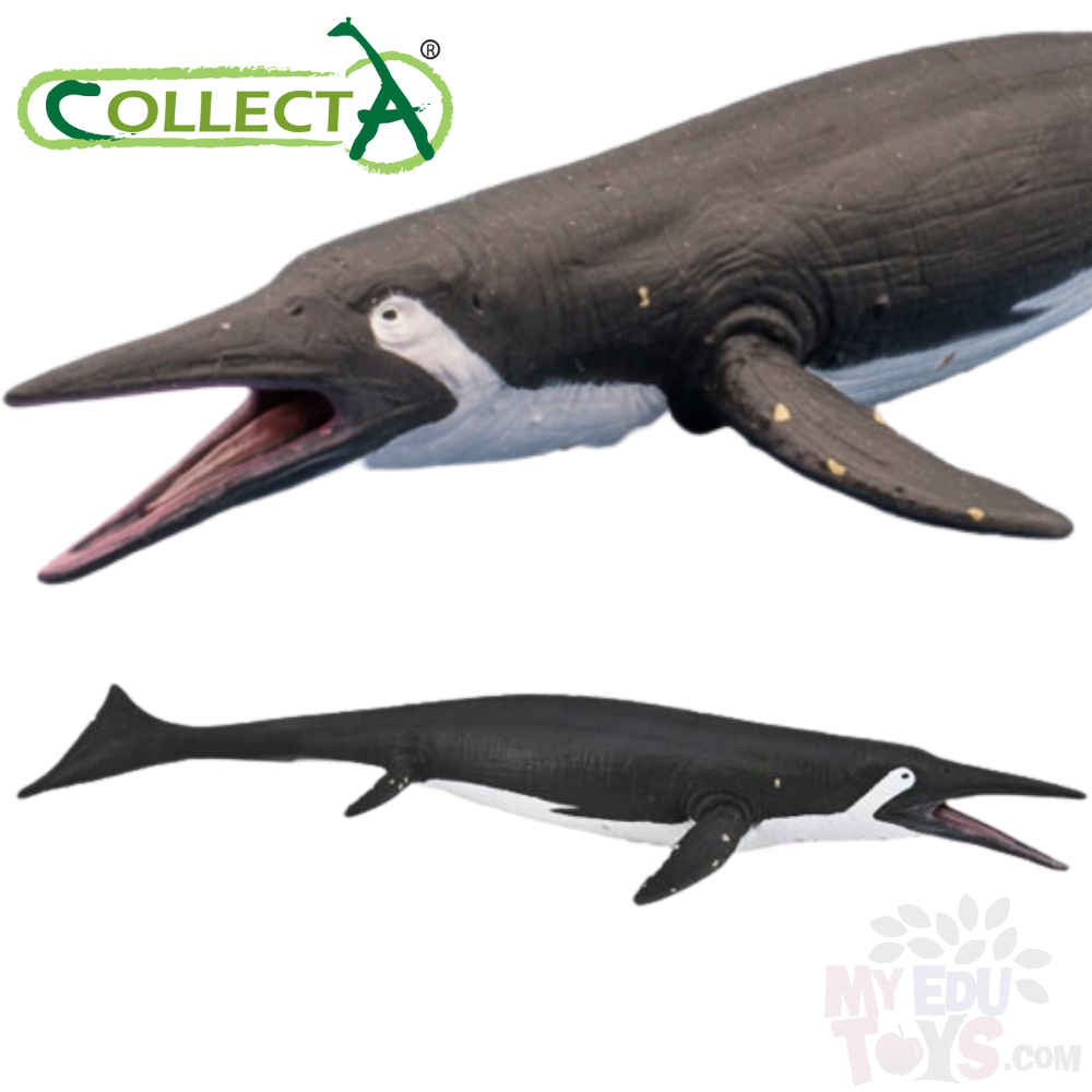 Shastasaurus - Collecta 88974 Prehistoric Marine Dinosaur Animal Action ...
