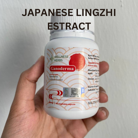 LINGZHI GANODERMA 灵芝 60 CAPSULES/BOTTLE | Shopee Malaysia