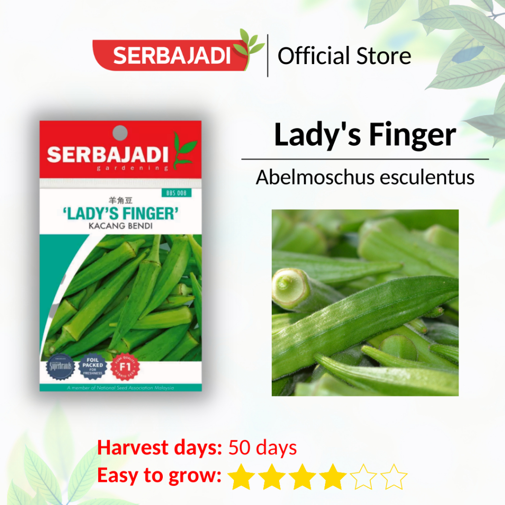 Serbajadi Vegetable Seed Lady's Finger/ Biji Benih Kacang Bendi/ Sayur ...