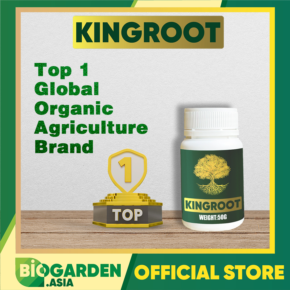 King Root - King of Rooting Powder - New generation fertilizer Genuine ...