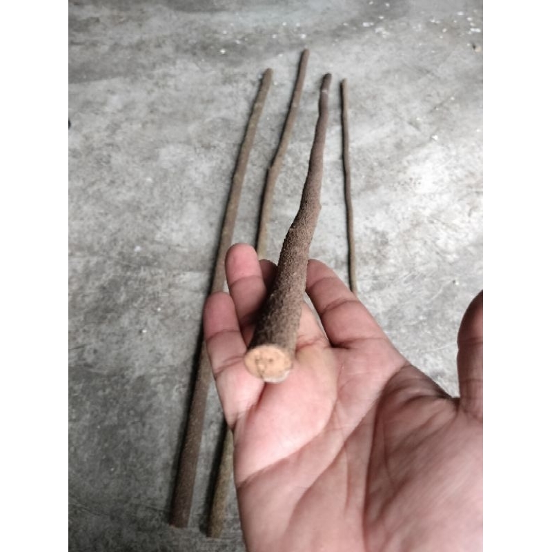 kayu cenderai pelbagai saiz 5sen, 10sen, 20sen | Shopee Malaysia