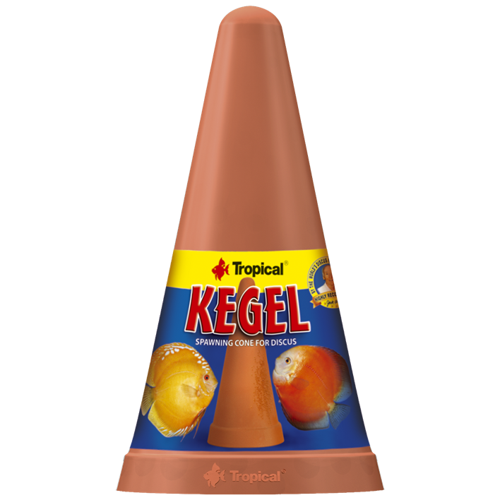 TROPICAL KAGEL DISCUS SPAWNNING CONE, BREEDING CONE, DISCUS CONE, KON ...